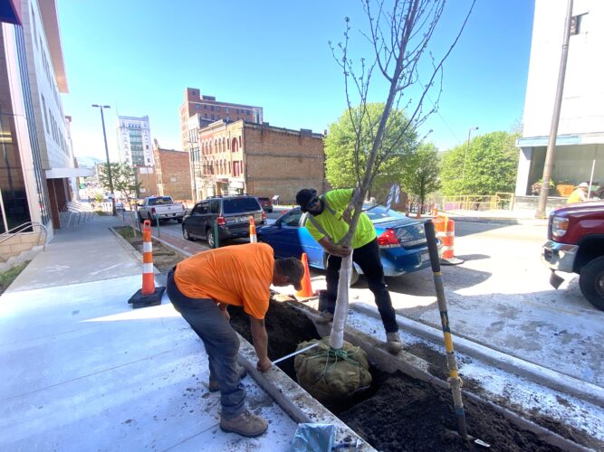 Wheeling Streetscape Project Adds Some Greenery Downtown | News, Sports ...